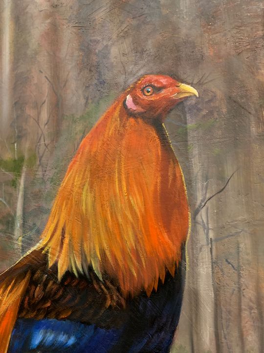 Gallo - Arte Libre - Paintings & Prints, Animals, Birds, & Fish, Birds ...