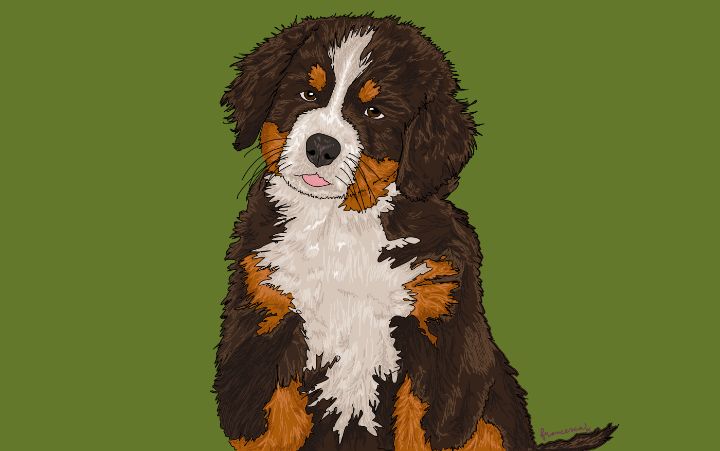 Bernie the Dog - Francesca's digital art - Digital Art & AI, Animals ...