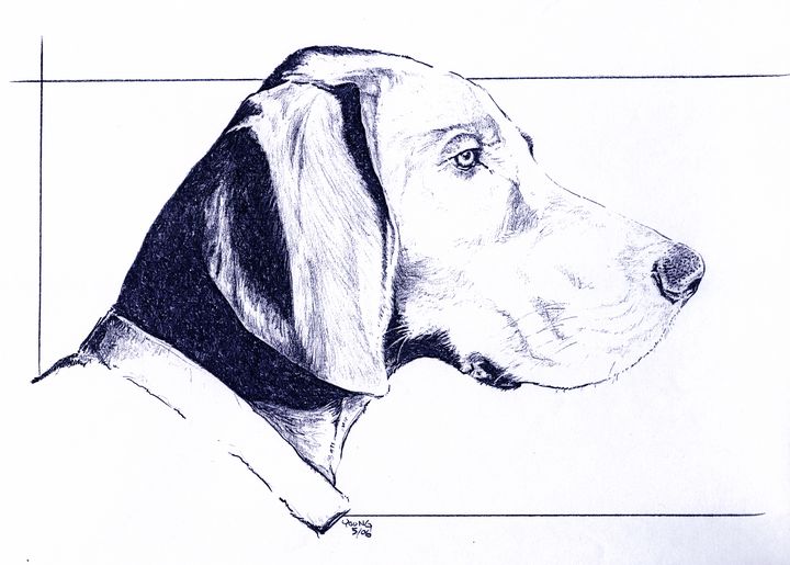 My friend's dog Duke - BYoung - Drawings & Illustration, Animals, Birds ...