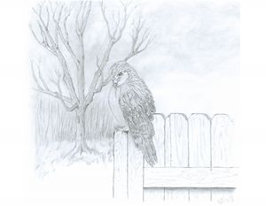 KJohn Art - Drawings & Illustration