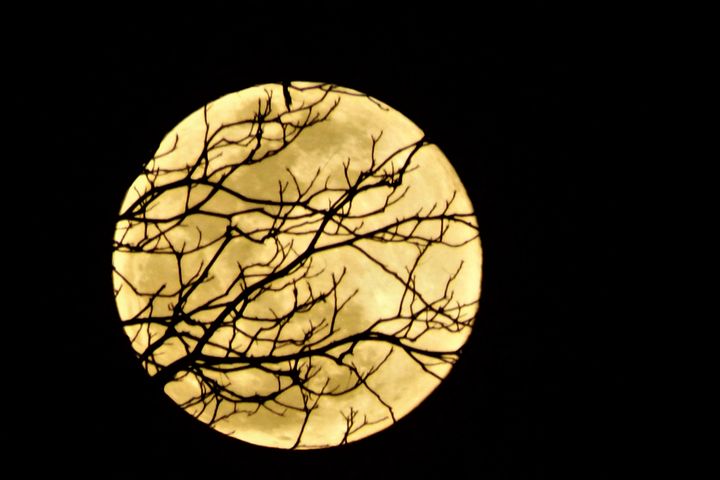 Super Moon Wrapped II - Art I AM Studio - Photography, Astronomy ...