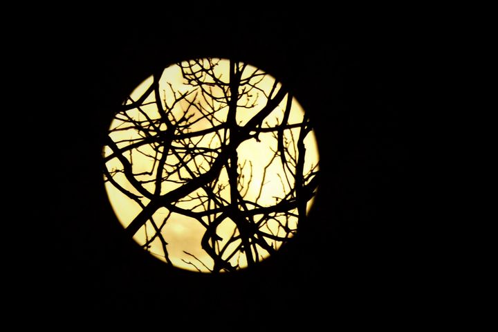 Super Moon Wrapped - Art I AM Studio - Photography, Astronomy & Space ...