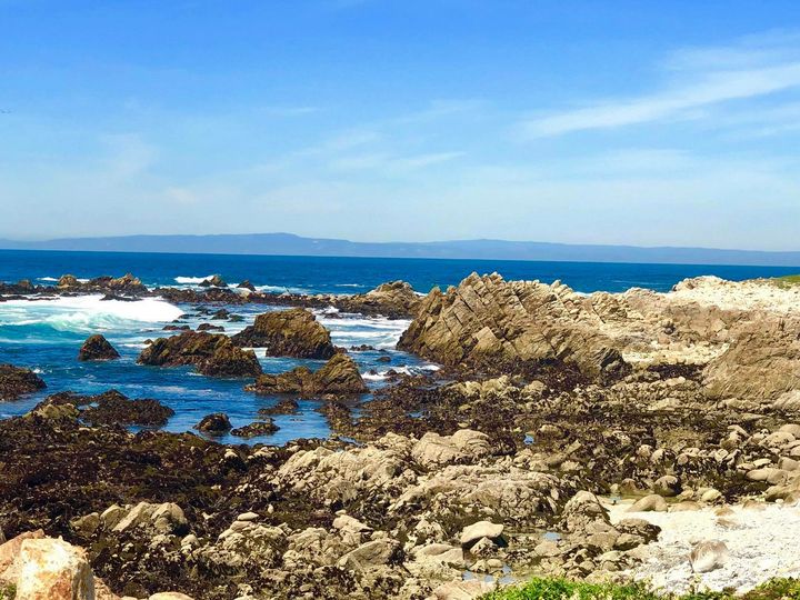 Mel Short - Photography