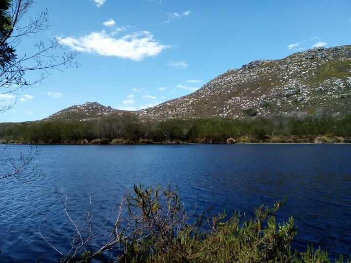 Silvermine Nature Reserve - Sam Giloi - Photography, Landscapes ...