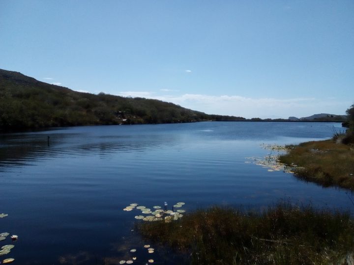 Silvermine Nature Reserve - Sam Giloi - Photography, Landscapes ...