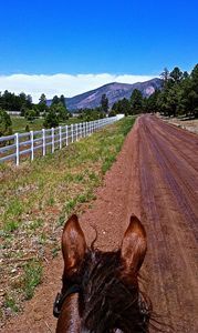 Nobility Ranch, Season M. Ellison - Photography