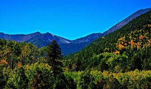 Nobility Ranch, Season M. Ellison - Photography