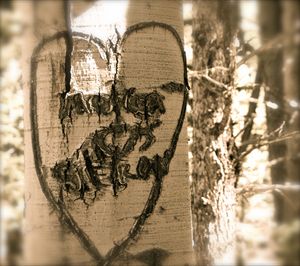 Nobility Ranch, Season M. Ellison - Photography