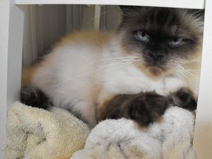 Making the Impact - Paintings & Prints, Photography