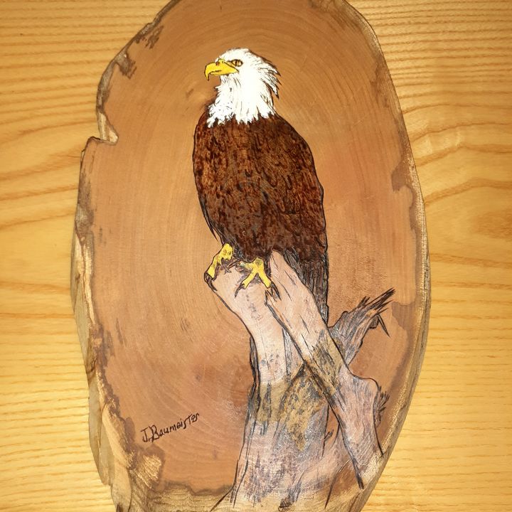 American eagle - Artist jim Baumeister - Paintings & Prints, Animals ...