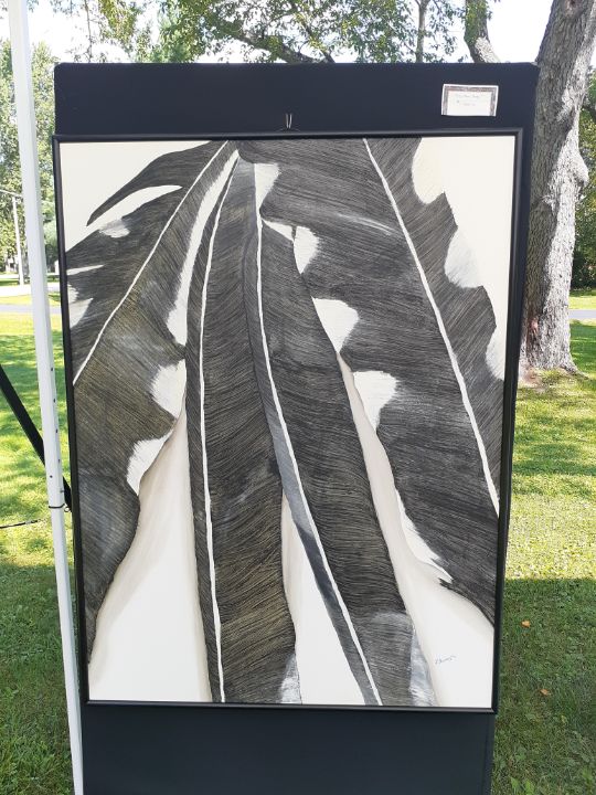 Feather study - Artist jim Baumeister - Paintings & Prints, Abstract ...