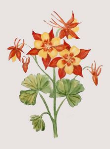 Paintings by Kate Robards - Paintings & Prints