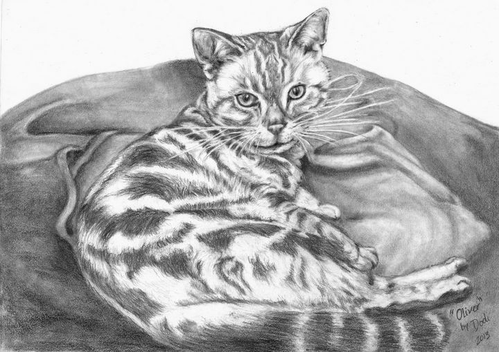 Oliver - Drawings By Dodi - Drawings & Illustration, Animals, Birds ...