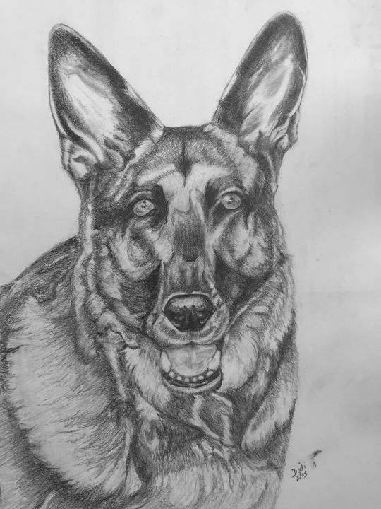 Ranger - Drawings By Dodi - Drawings & Illustration, Animals, Birds ...