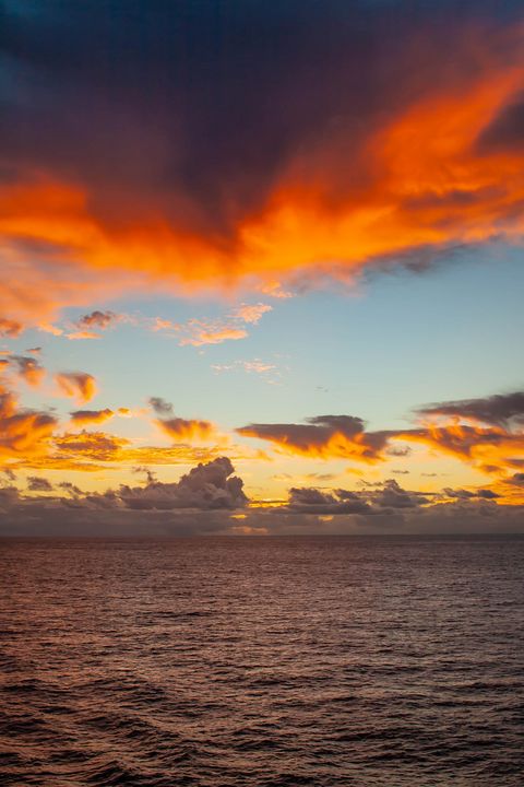 Dan Vowles Photography - Photography