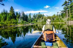 Shelia Hunt Photography - Photography, Digital Art & AI, Paintings & Prints