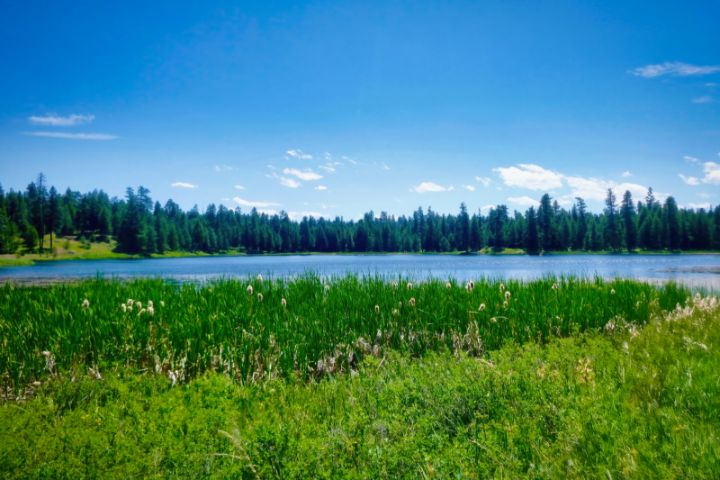 Bull Prairie Lake - Shelia Hunt Photography - Photography, Places ...