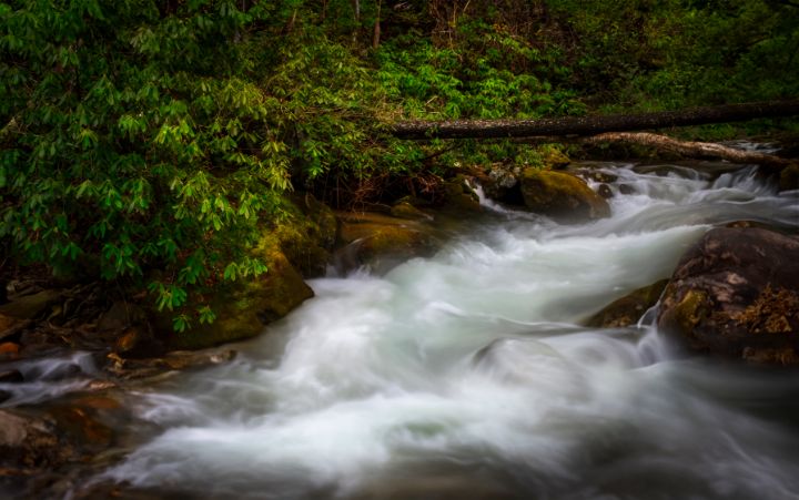Secluded Cascade in the Blue Ridges - Shelia Hunt Photography ...