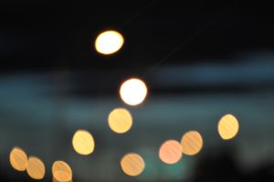 Nardozza Photography - Photography