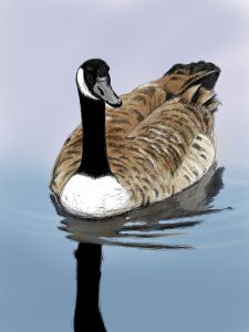 Roland Berthold - Drawings & Illustration, Digital Art & AI