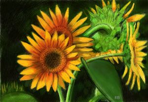Roland Berthold - Drawings & Illustration, Digital Art & AI
