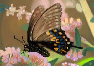Roland Berthold - Drawings & Illustration, Digital Art & AI