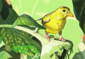 Roland Berthold - Drawings & Illustration, Digital Art & AI