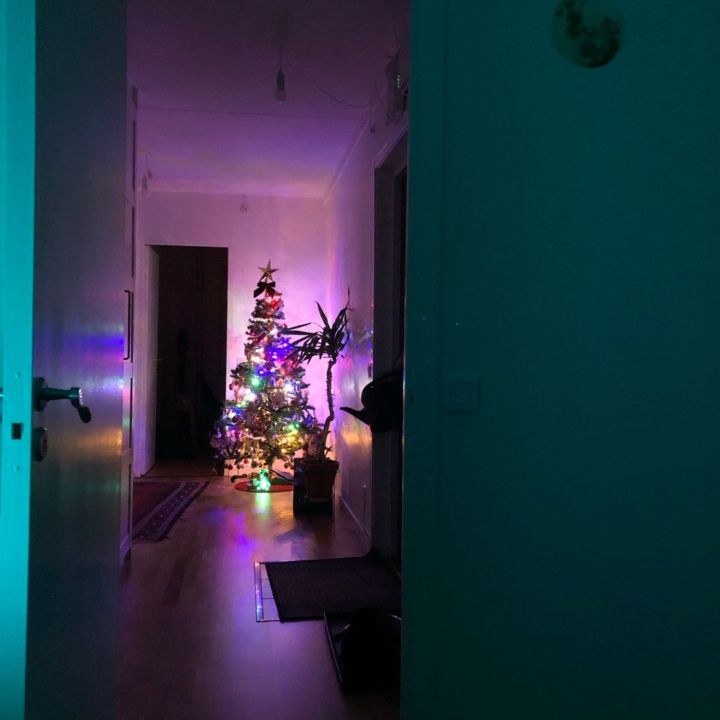 A Glimpse of Christmas Glow - Sun - Photography, Holidays & Occasions ...