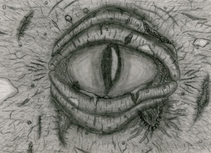 Infected Sight - Cryptic Shadows - Drawings & Illustration, Fantasy ...