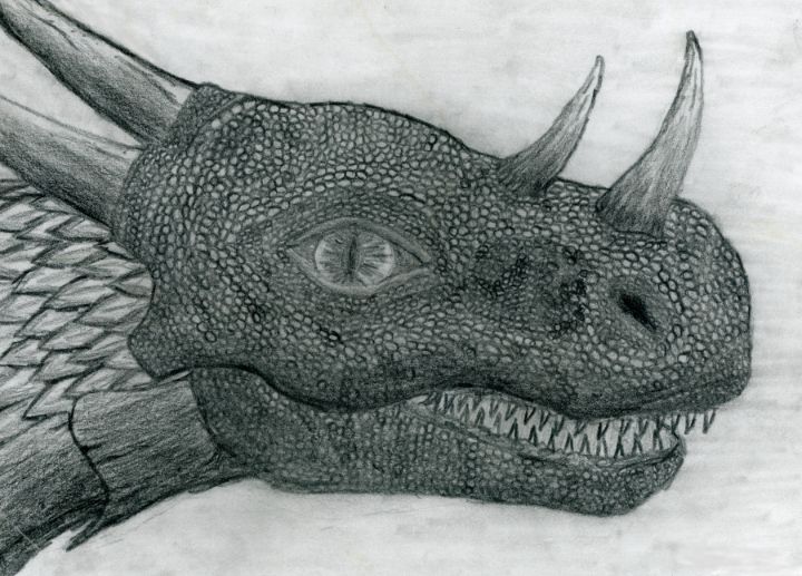 The Dragon - Cryptic Shadows - Drawings & Illustration, Fantasy ...