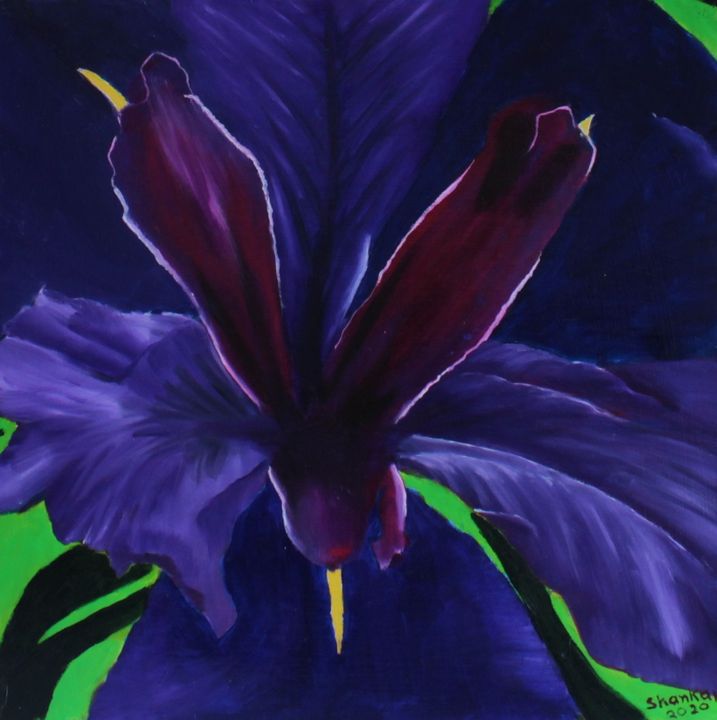 Black Beauty - Shankar Kashyap - Paintings & Prints, Flowers, Plants ...