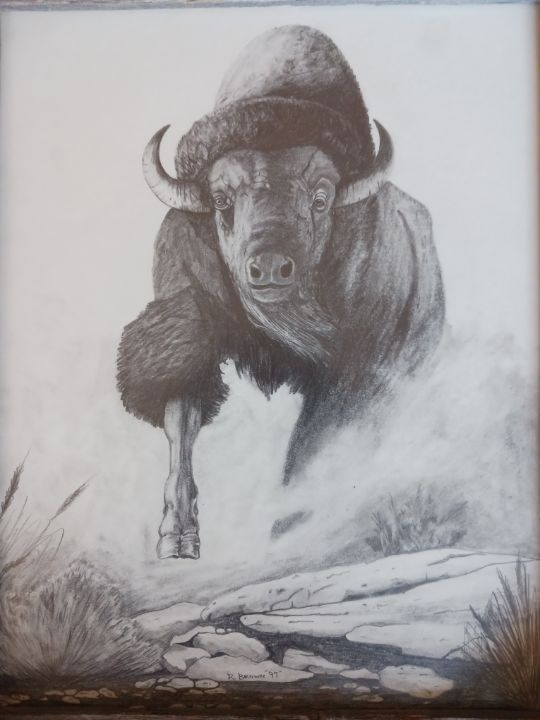 Buffalo - Robert brown - Drawings & Illustration, Animals, Birds ...