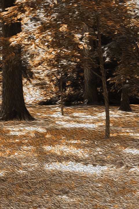 GoldenWood - Brian Reed II - Digital Art & AI, Abstract, Landscape - ArtPal