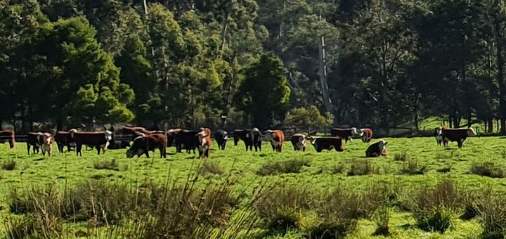 country AUSTRALIA 2 - themistoklis1 - Photography, Landscapes & Nature ...
