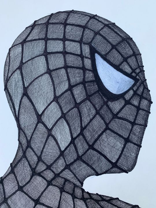 The Amazing Spider-Man Pen Drawing - Pargat - Drawings & Illustration ...