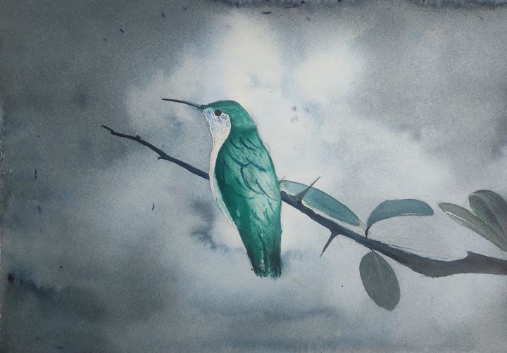 The Hummingbird - Kumar Guarav - Paintings & Prints, Animals, Birds ...