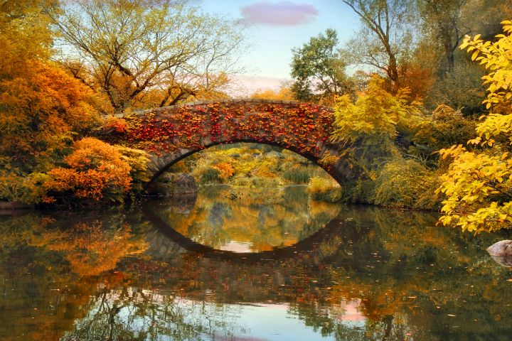 Jessica Jenney Photography - Photography