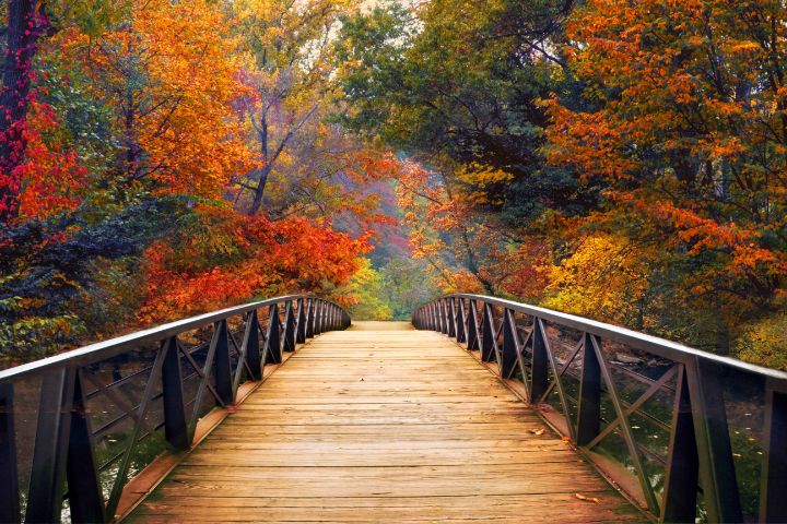 Jessica Jenney Photography - Photography