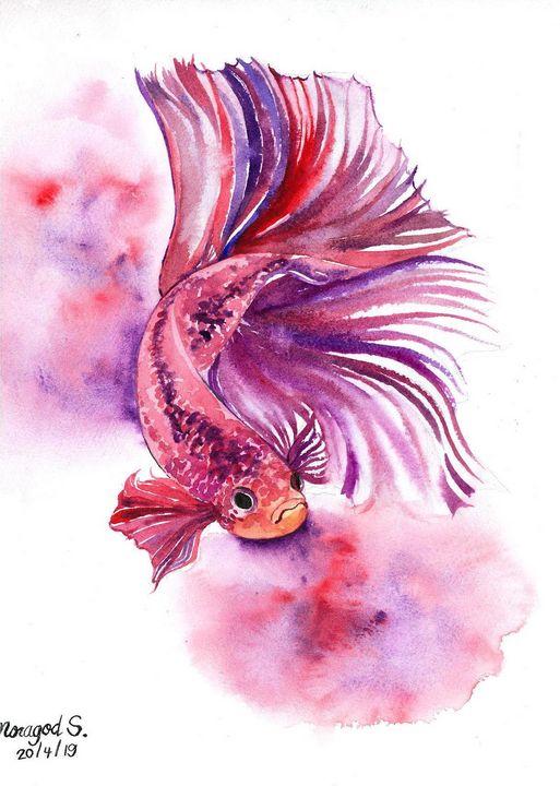 The elegant fighting fish - NicepaintingbyMoragod - Paintings & Prints ...