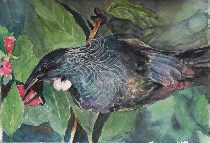 NZ Native Tui feeding from flower - Jillian Bryan - Paintings & Prints ...