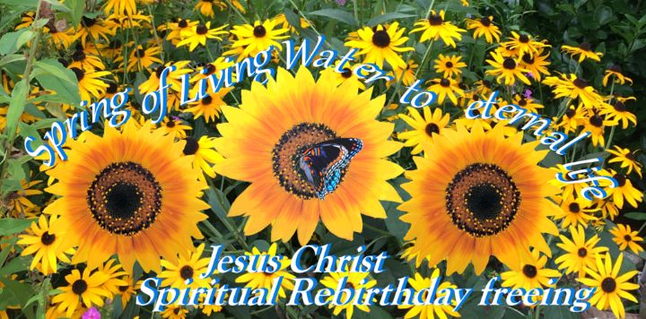 Spring of Living Water to eternal - Jesus Marketing & Country - Digital ...