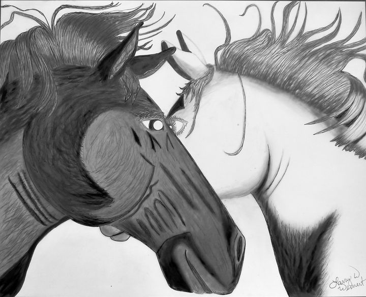 Country Love Drawings