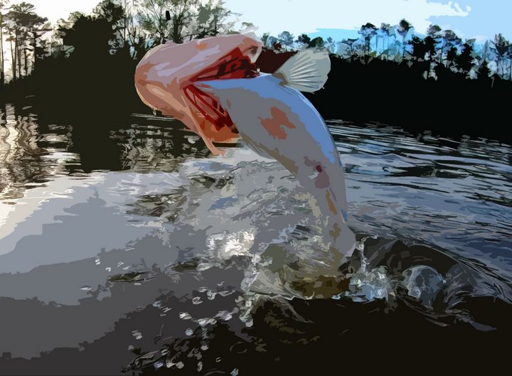 Sunrise Bass Flop - Largemouth Bass - Photography, Animals, Birds ...