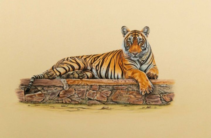 handmade Tiger painting on canvas - shreekrishnam - Paintings & Prints ...
