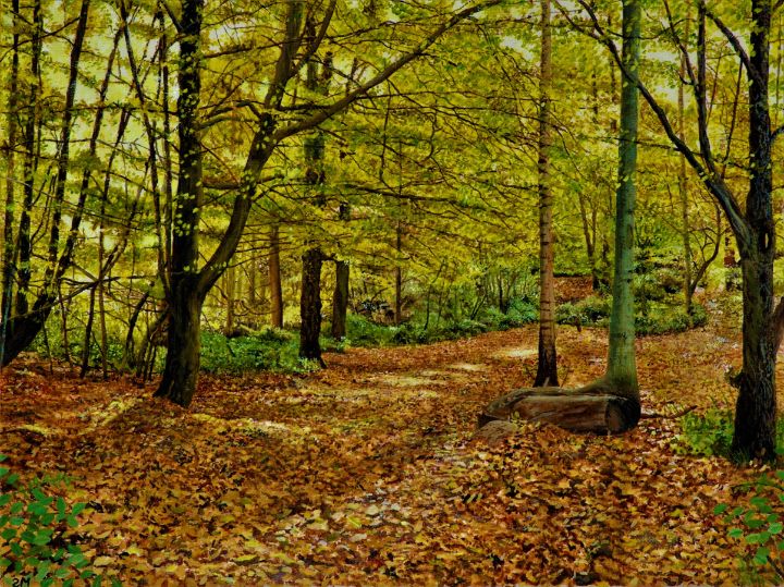 Deeper into the woods - Martin Scrase - Paintings & Prints, Landscapes ...