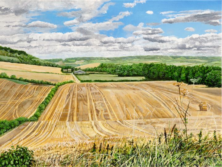 Everything points to the harvest - Martin Scrase - Paintings & Prints ...