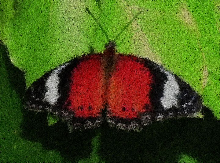 Joy butterfly - Meditations - Paintings & Prints, Animals, Birds ...