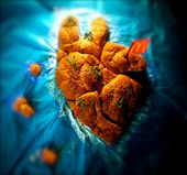 Ellie Luna Art - Paintings & Prints