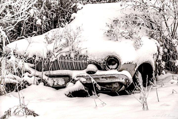 Abandoned Cars In Winter Abandoned Cars In Deep Snow During The Hard