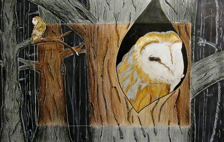 Owl - Megan Lefort - Paintings & Prints, Animals, Birds, & Fish, Birds ...